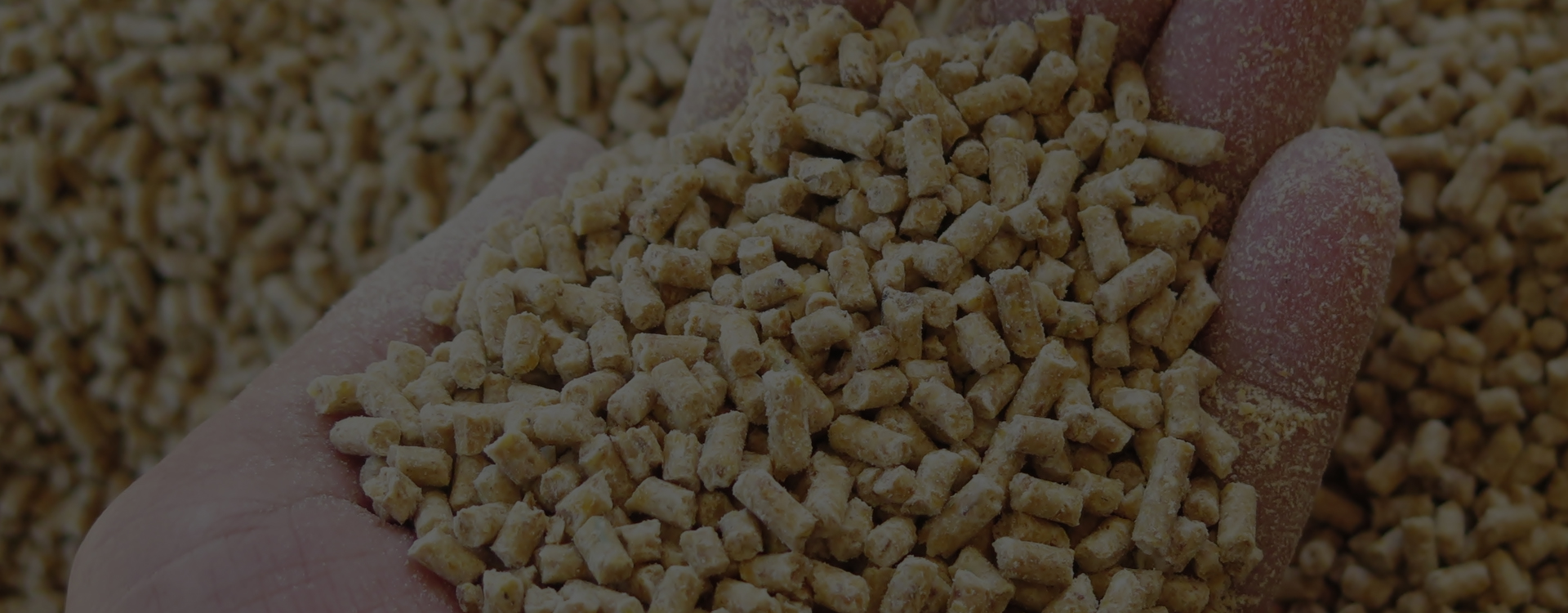 Animal Nutrition & Livestock Health Leader | BioSpec Feeds